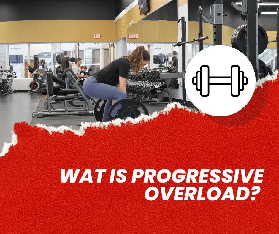 Dit moet je weten over progressive overload (2024)